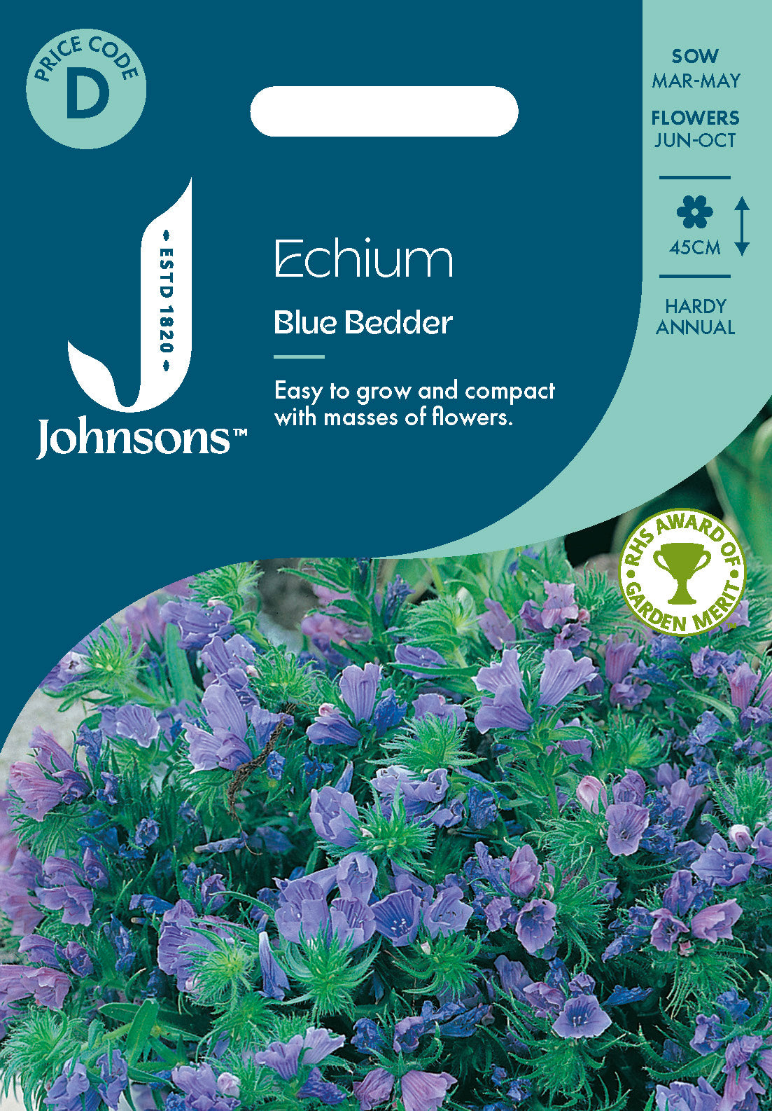 Johnsons Seeds Echium Blue Bedder | Thorns DIY