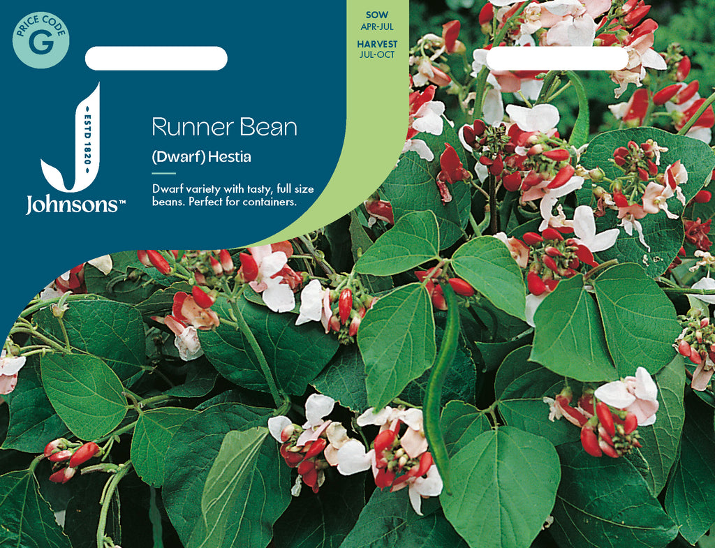 Johnsons Seeds Runner Bean (Dwarf) Hestia | Thorns DIY