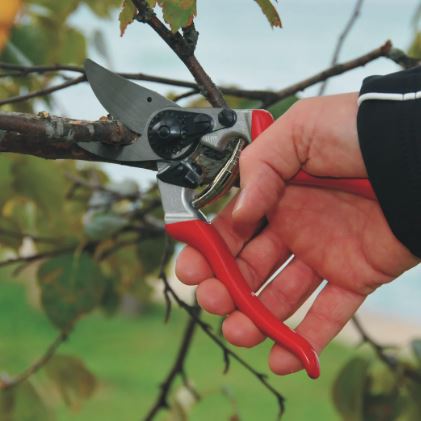 Felco Model 8 Classic Secateurs L117 | Thorns DIY