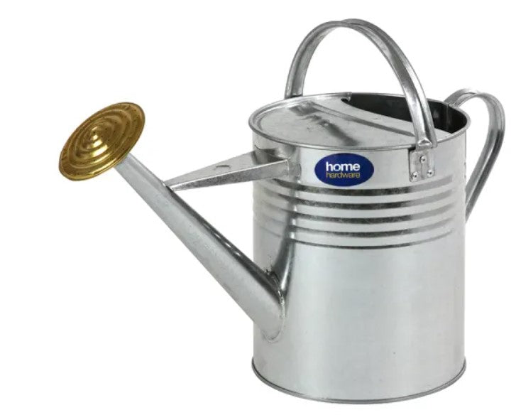 Homehardware Watering Can Galvanised 9 Litres | Thorns DIY