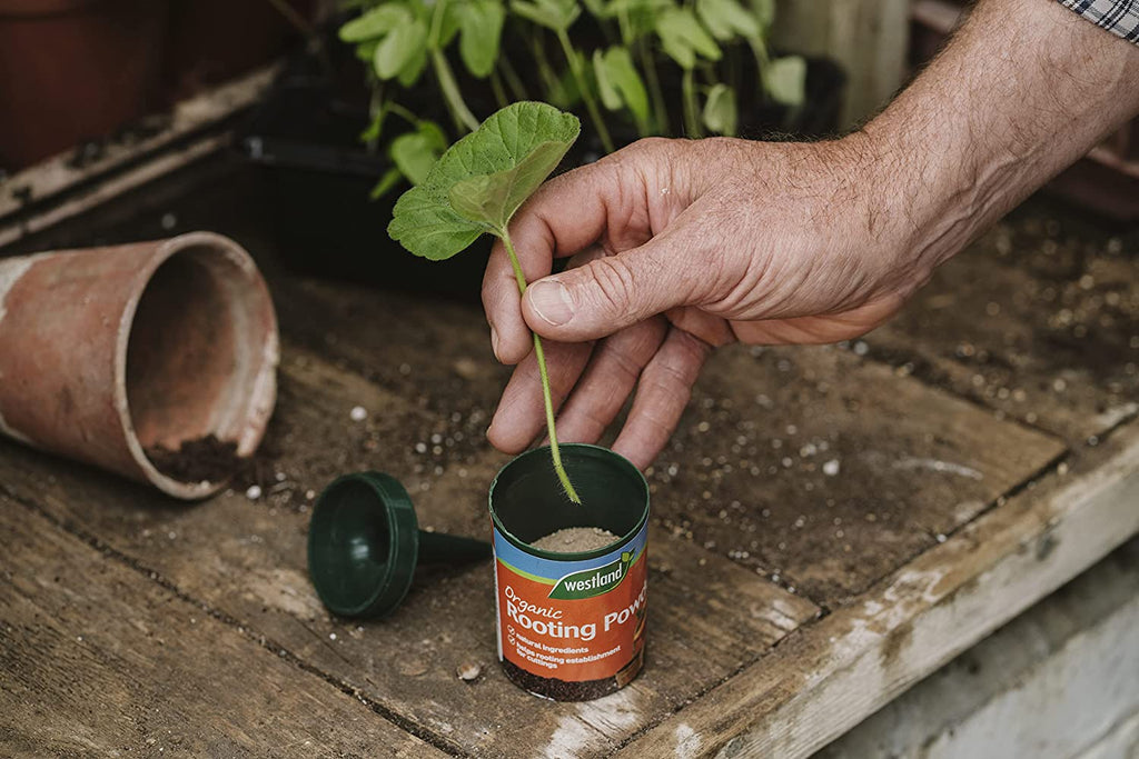 Westland Organic Rooting Powder 100g | Thorns DIY