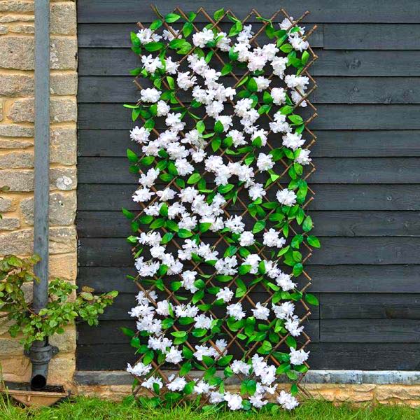 Smart Garden Cherry Blossom Trellis Norwich | Thorns DIY