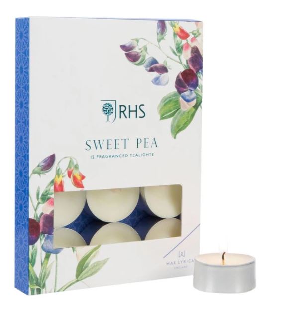 Wax Lyrical RHS Sweet Pea Pack of 12 Fragranced Tealights – Thorns DIY